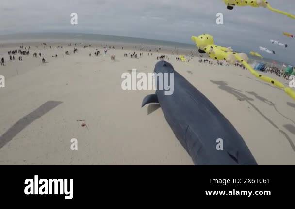 Prominent shapes Stock Videos & Footage - HD and 4K Video Clips - Alamy