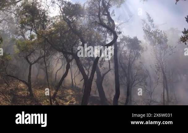 Hazard Reduction, Bushfire hazard reduction operation NSW Australia ...