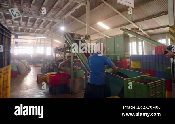 Tea factory conveyor belt Stock Videos & Footage - HD and 4K Video ...