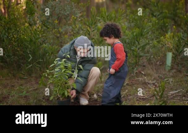 Nurturing moment in nature Stock Videos & Footage - HD and 4K Video ...