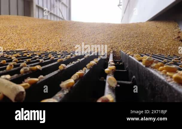 Seed delivery Stock Videos & Footage - HD and 4K Video Clips - Alamy