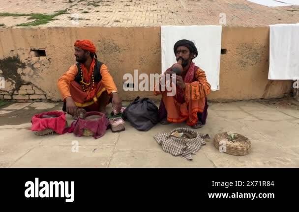 Cobra cutter Stock Videos & Footage - HD and 4K Video Clips - Alamy