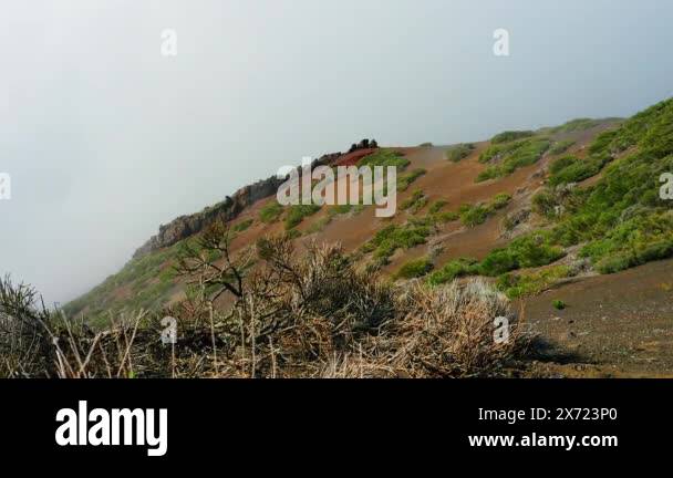 Fog approaching trees on a mountainside. Foggy haze rises to the top of ...