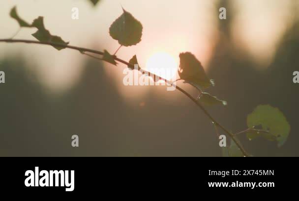 Fading sky Stock Videos & Footage - HD and 4K Video Clips - Alamy