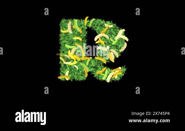 Botanical Alphabet Typography: Letter 'R' in Banana with leaves and ...