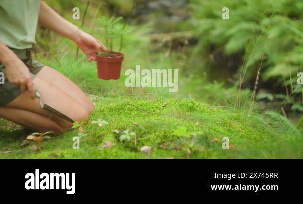 Tree planting action Stock Videos & Footage - HD and 4K Video Clips - Alamy