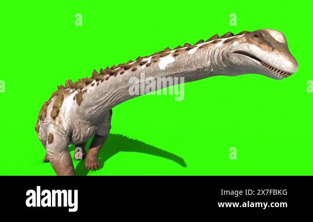 Dinosaur Titanosaur Walks Top Green Screen 3D Rendering Animation ...