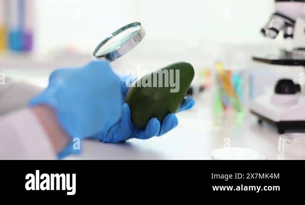 Magnifying glass bacterial culture Stock Videos & Footage - HD and 4K Video Clips - Alamy