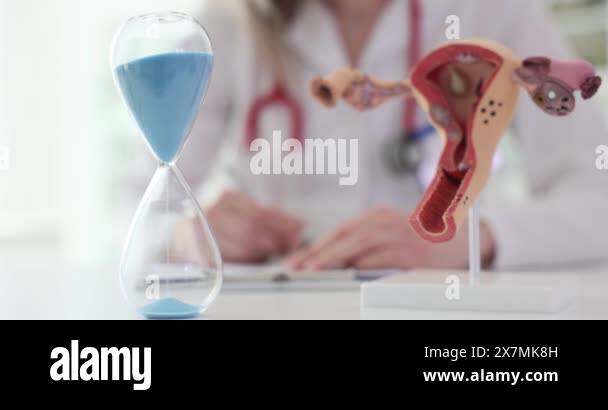 Anatomy of uterus in menstrual cycle and an hourglass on gynecologist ...