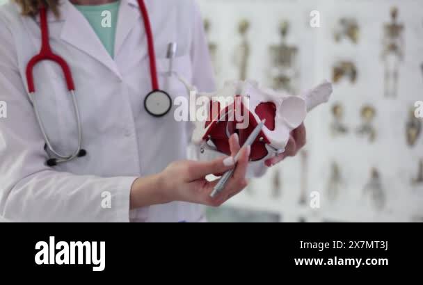 Pelvis human skeleton female Stock Videos & Footage - HD and 4K Video ...