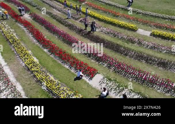 Dobropark, Ukraine, April 27, 2024: Landscape park with lot of tulips. Many people walking in ...