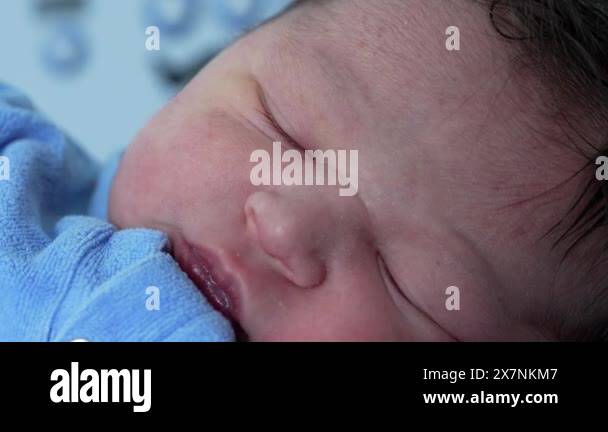 Newborn nurturing Stock Videos & Footage - HD and 4K Video Clips - Alamy