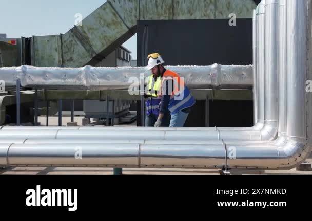 Female male woman man lady gentle person people human white yellow ...