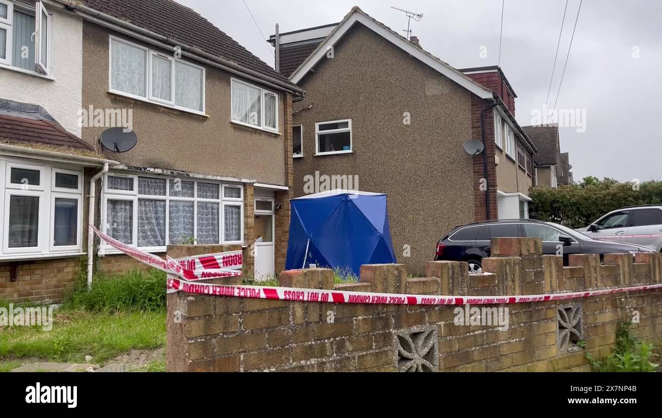 Woman mauled to death by dog Stock Videos & Footage - HD and 4K Video ...