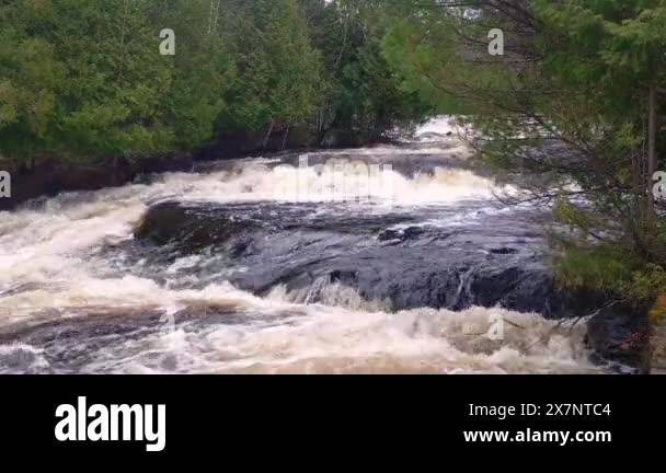 Middle branch Stock Videos & Footage - HD and 4K Video Clips - Alamy