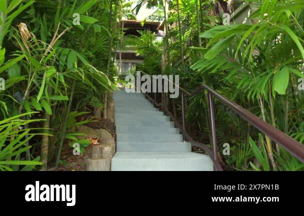 Wooden pathway tourist resort Stock Videos & Footage - HD and 4K Video ...