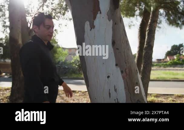 Man dressed as tree Stock Videos & Footage - HD and 4K Video Clips - Alamy