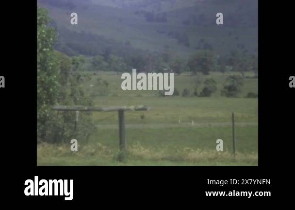 Melbourne, Australia may 1969: Vintage footage of Australian vegetation ...