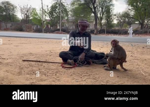 Magic turban Stock Videos & Footage - HD and 4K Video Clips - Alamy