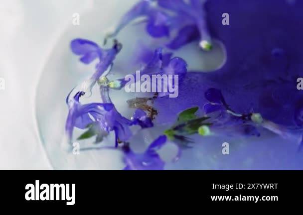 Translucent stain Stock Videos & Footage - HD and 4K Video Clips - Alamy