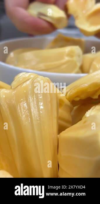 Break apart breadfruit jackfruit and prepare fruit for eating Stock ...