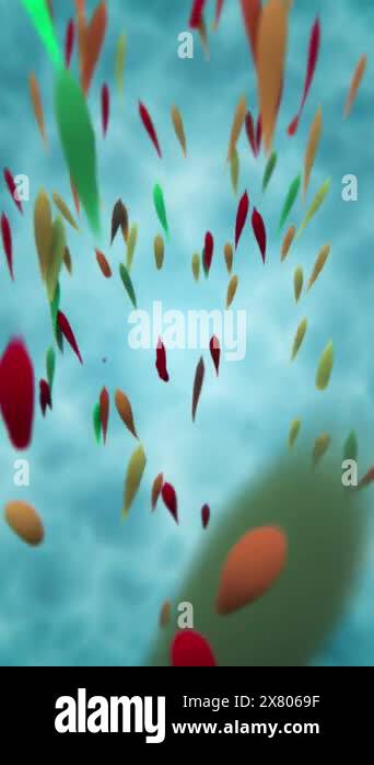 Vertical video - colorful tropical fish swimming in a turquoise ocean ...