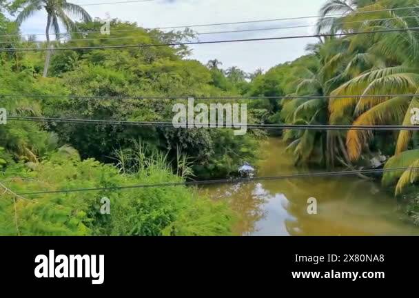 Green beautiful tropical river Freshwater Lagoon in Zicatela Puerto ...