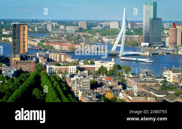 View of Rotterdam city and the Erasmus bridge Erasmusbrug over Nieuwe ...