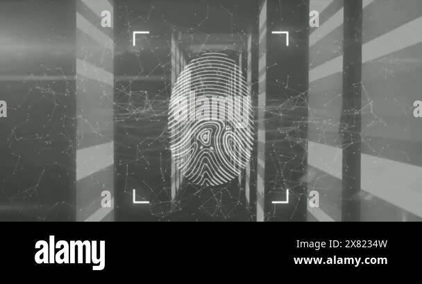 Fingerprint scan video animation. Biometric identification scanning ...