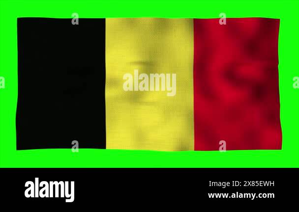 Belgium's National Flag in a Dynamic Display: A Sign of Strength and ...