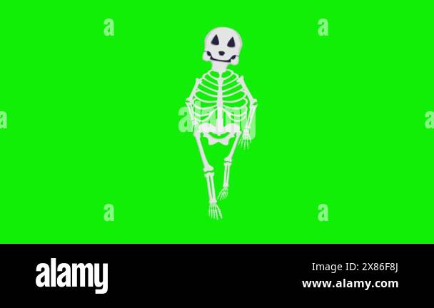 Cartoon skeleton body organs front pose walk cycle on green screen ...
