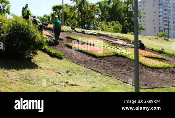 Maintenance public green spaces Stock Videos & Footage - HD and 4K ...