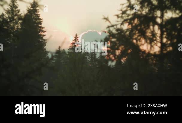 Halo and forest Stock Videos & Footage - HD and 4K Video Clips - Alamy