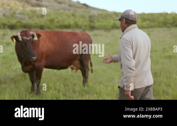 Labor and toil Stock Videos & Footage - HD and 4K Video Clips - Alamy
