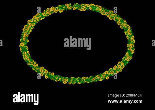 Elliptical background Stock Videos & Footage - HD and 4K Video Clips ...