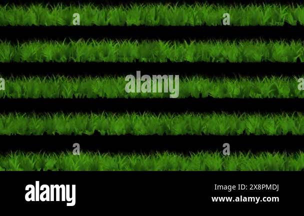 Grass lines Stock Videos & Footage - HD and 4K Video Clips - Alamy