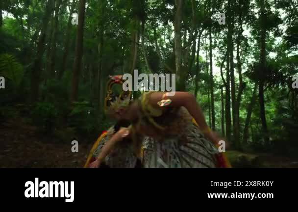 Tropical tree dancers Stock Videos & Footage - HD and 4K Video Clips ...