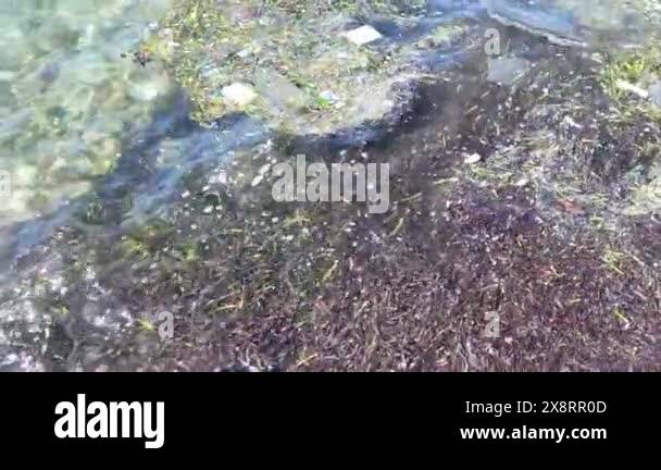 The water and rocks are littered with trash, harming the natural ...