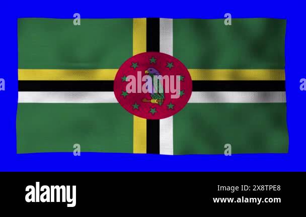 Dominica's National Flag in a Dynamic Display: A Sign of Strength and ...