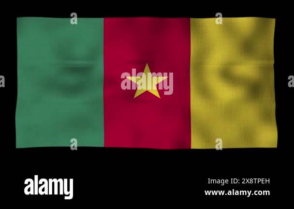 Cameroon's National Flag in a Dynamic Display: A Sign of Strength and ...