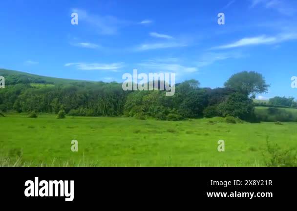 British produce farming Stock Videos & Footage - HD and 4K Video Clips ...