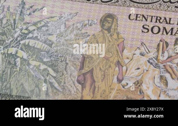 50 Somali shilling SOS national currency money legal tender banknote ...