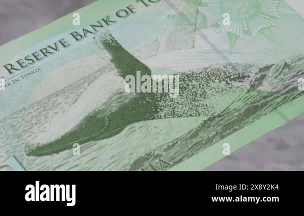 Bill of belarus Stock Videos & Footage - HD and 4K Video Clips - Alamy