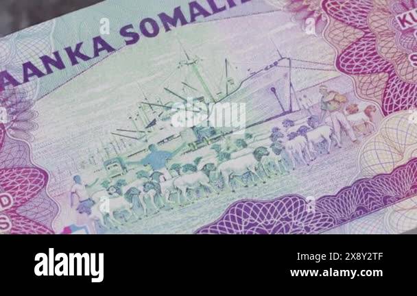 1000 Somali shillings national currency money legal tender banknote ...