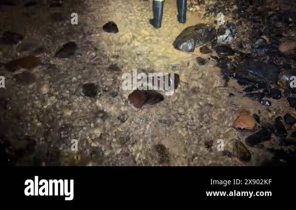 Burgos, Spain - May 19, 2024: A spelunker instructor guiding a group of ...