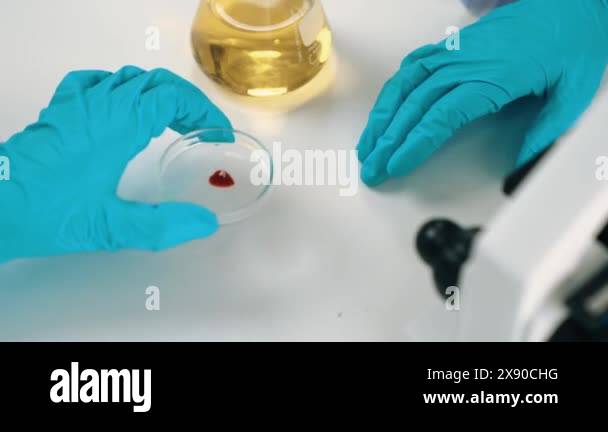 Laboratory researcher drop blood sample on microscopic slide for ...