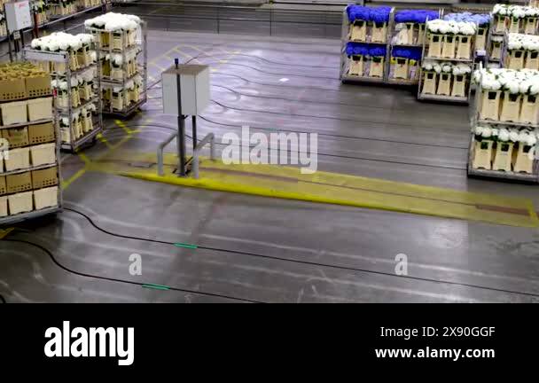 Automated rail system Stock Videos & Footage - HD and 4K Video Clips ...