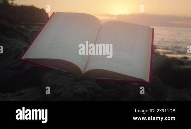 Open book on nature background. Learning is light and ignorance is ...