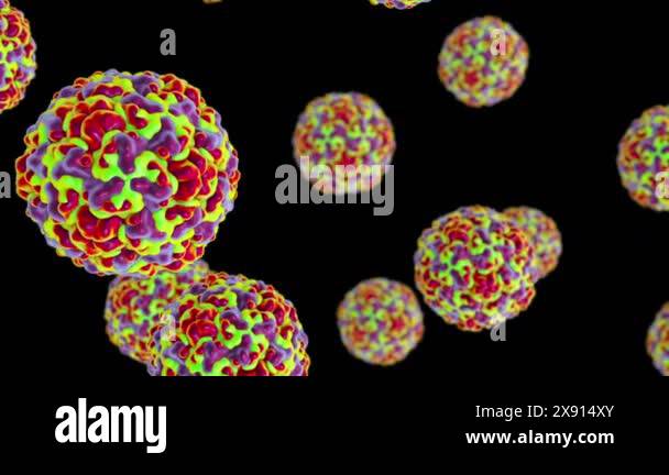 Animation showing rhinoviruses, the viruses that cause rhinitis and common cold Stock Video ...