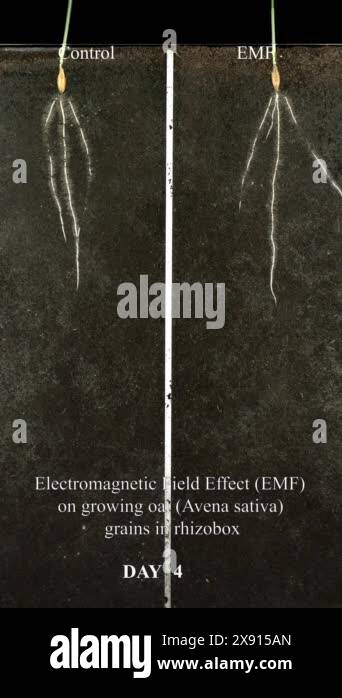 Timelapse sequence showing the effect of an applied electromagnetic ...